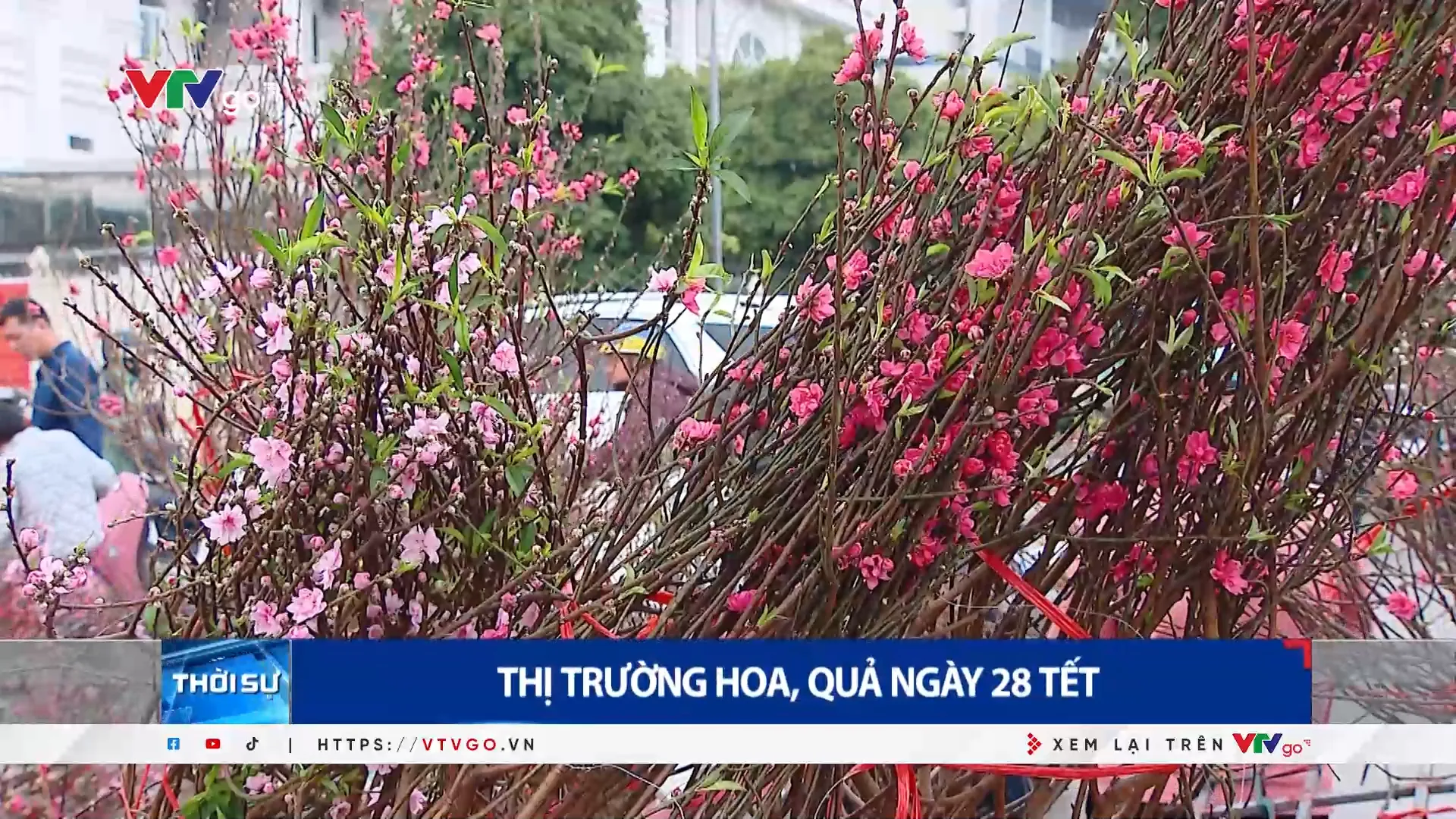 Thị trường hoa, quả ngày 28 Tết | VTVgo